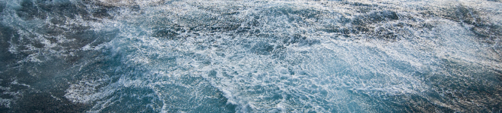 NEMO Waves Working Group discusses how to model the interaction between ...