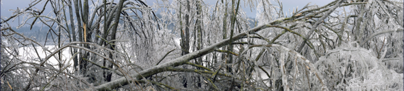 ECMWF launches new model cycle | ECMWF